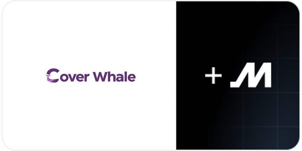 Cover Whale - Motive